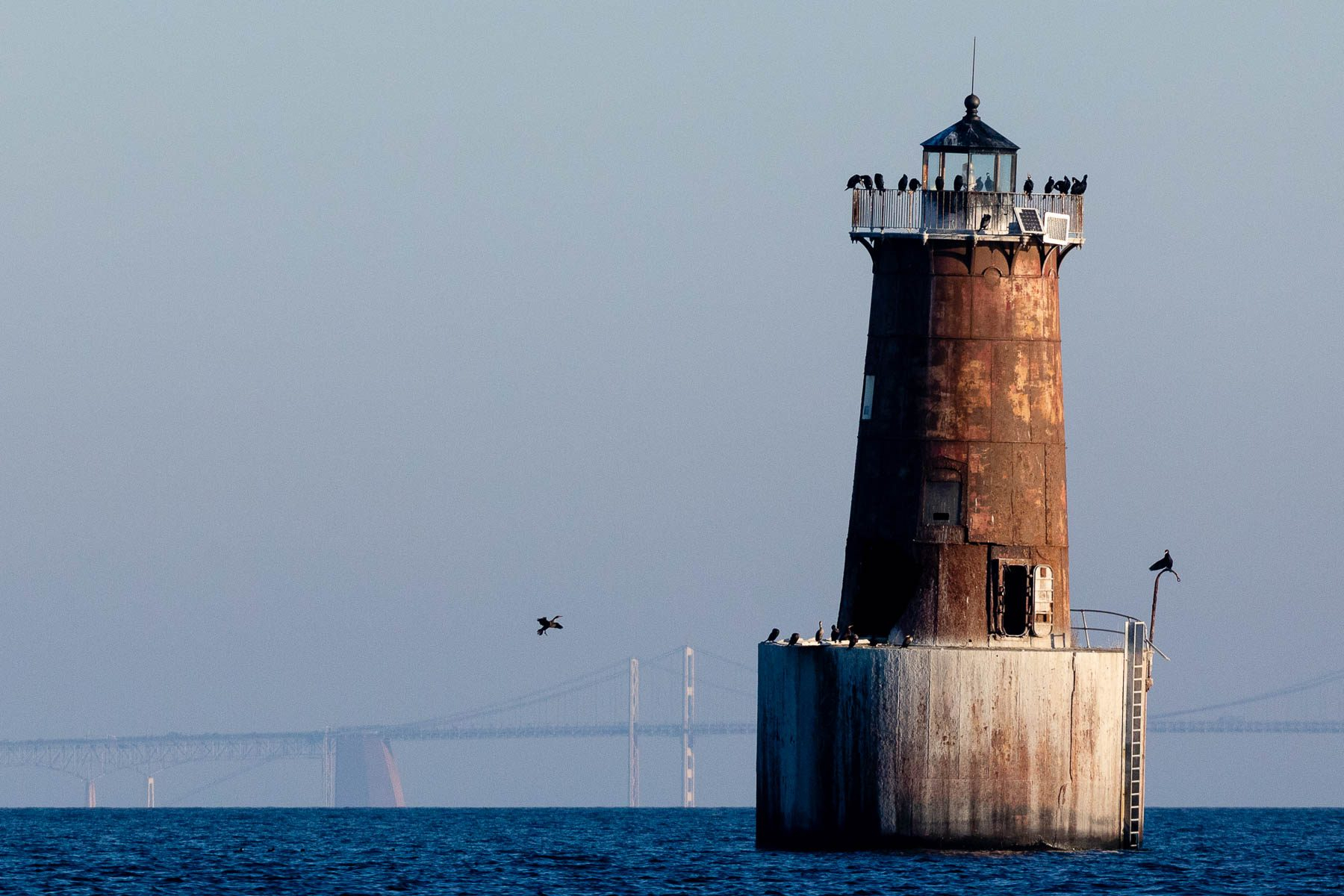 Eleven lighthouses in the Chesapeake Bay watershed