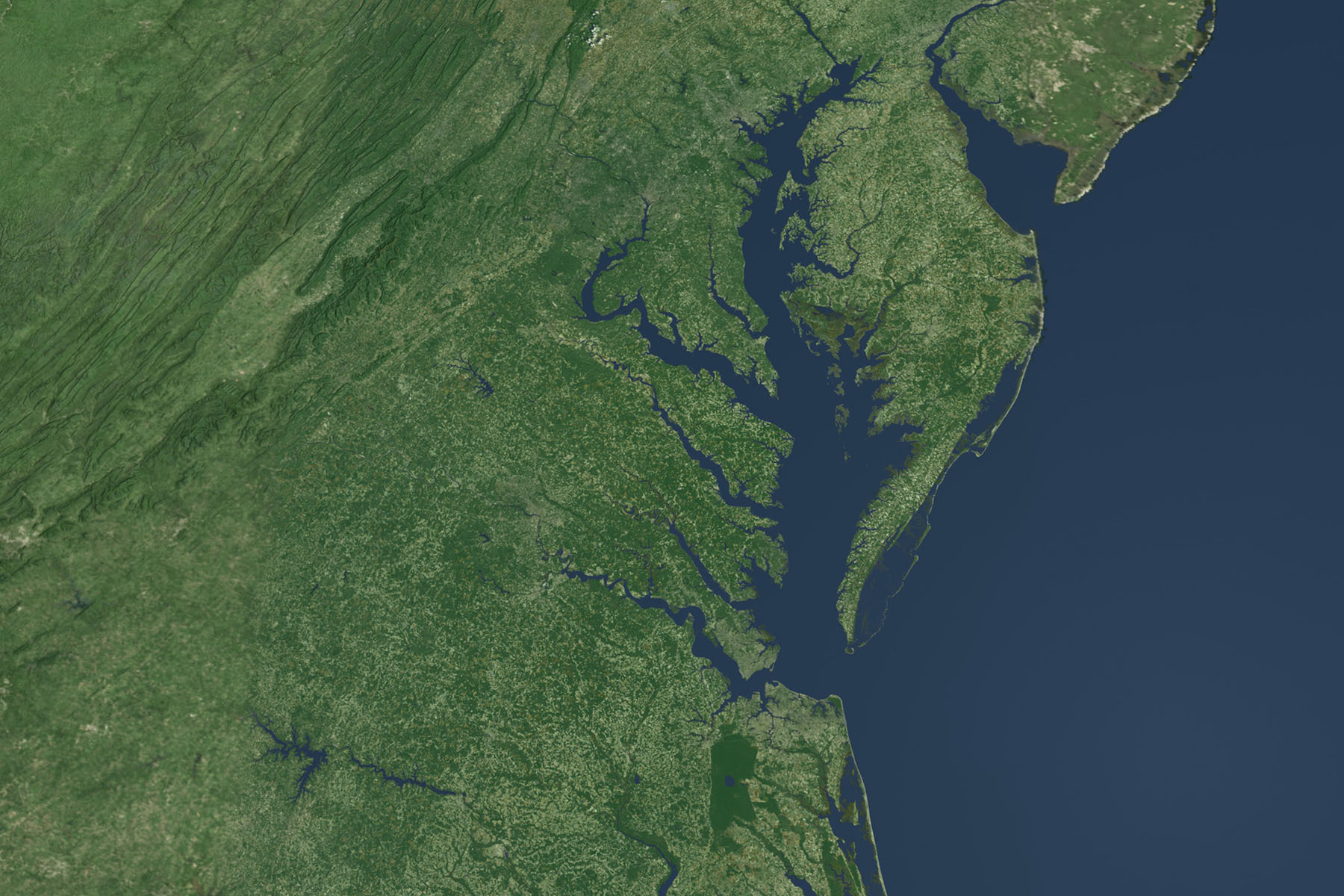 Eight reasons the Chesapeake Bay is an exceptional estuary