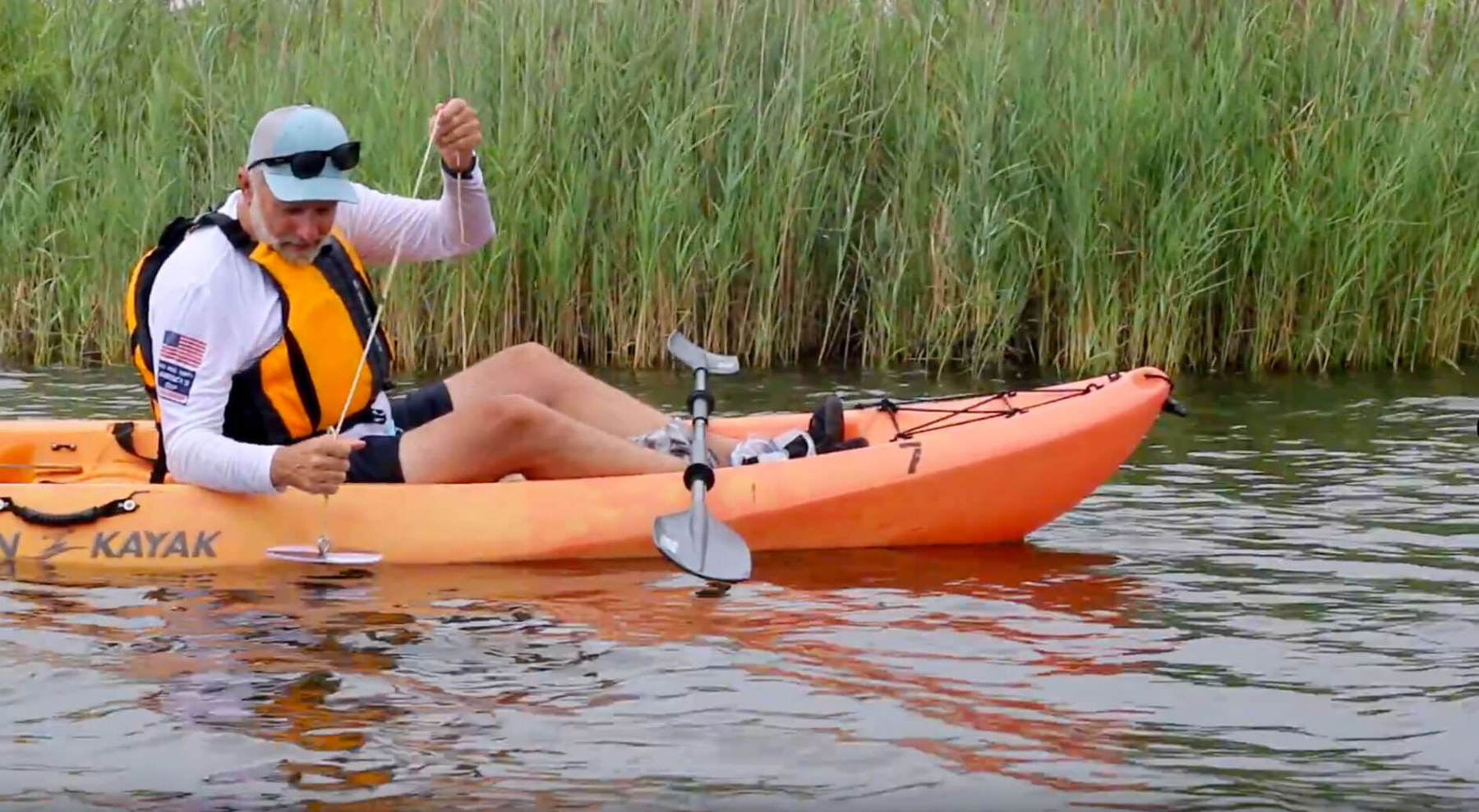 Tier II: Chesapeake Bay SAV Watchers Program