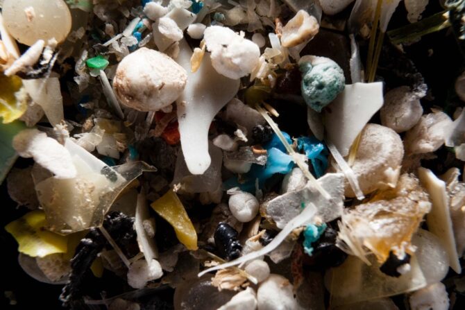Microplastic pollution could threaten underwater life, report finds