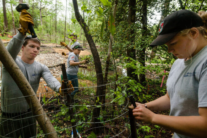 Six environmental jobs you might not have heard of