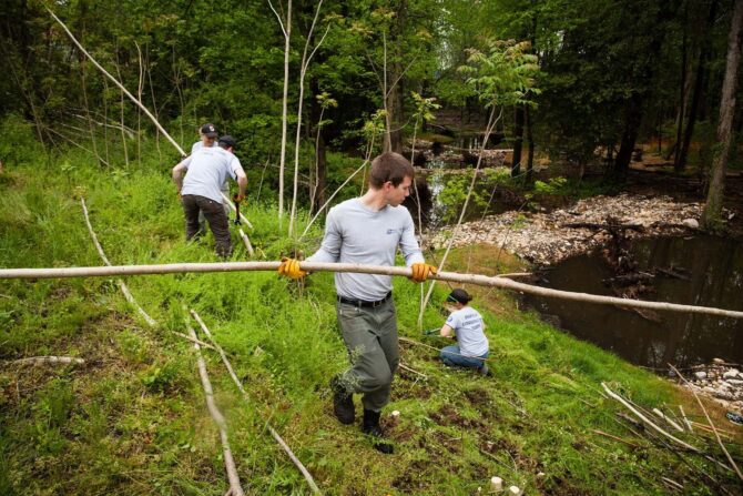 Protecting a wetland from invasive species