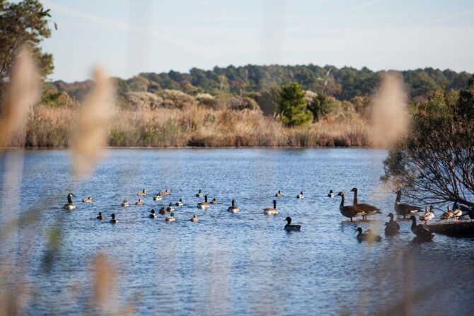 Clean Water Rule clarifies protections for streams, wetlands