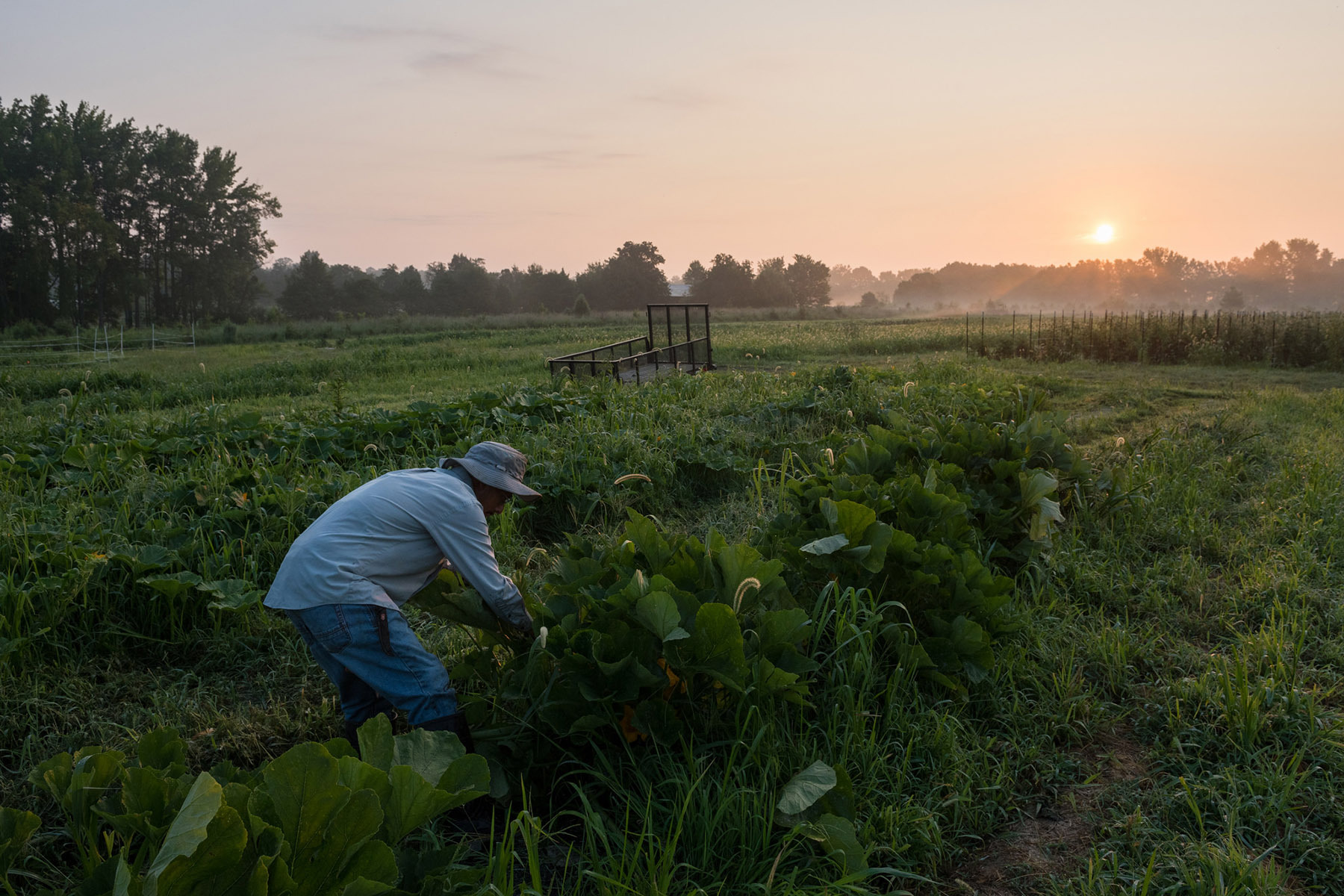 Growing healthy food for a healthy waterway