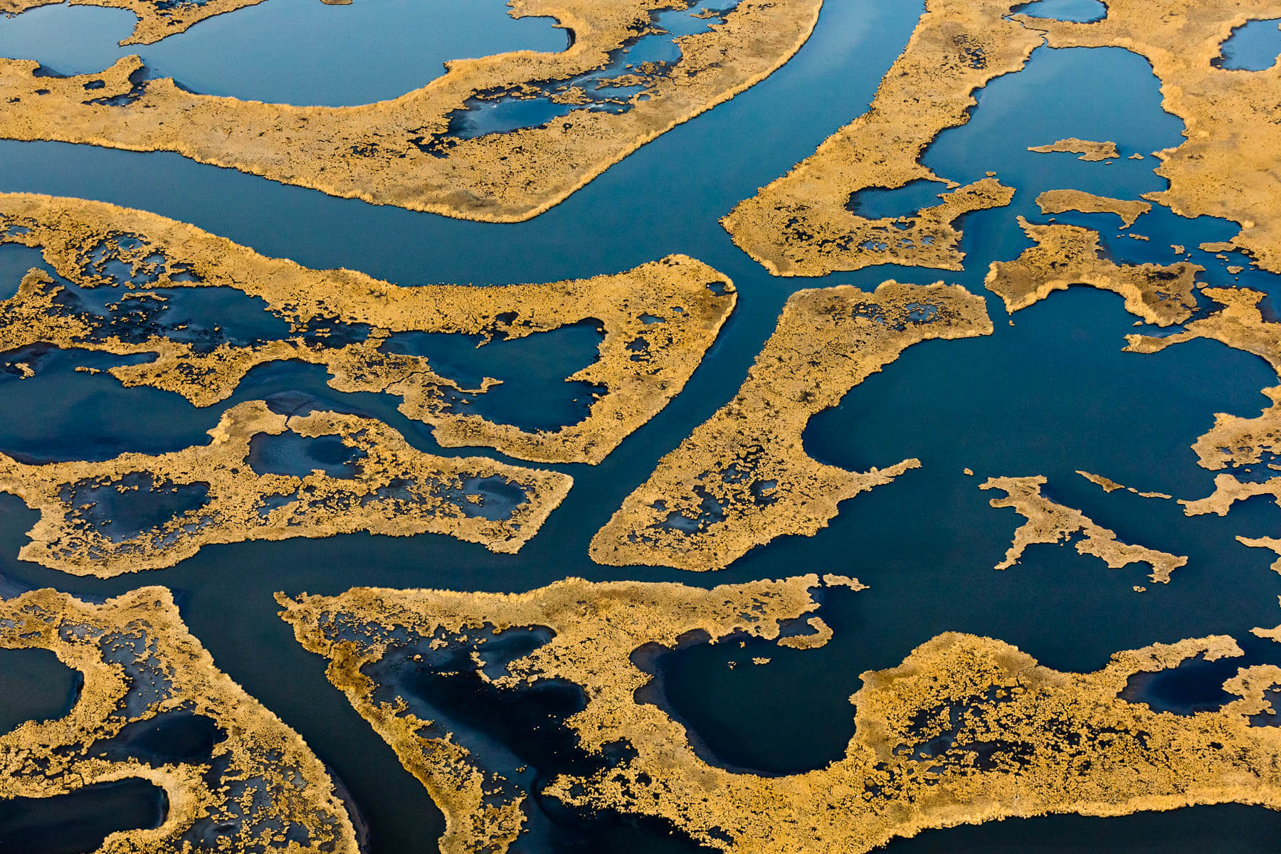 Year in photos: The Chesapeake watershed in 2017