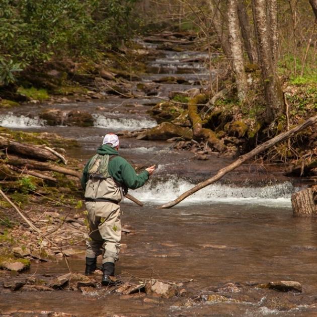 Stream Health - Chesapeake Progress