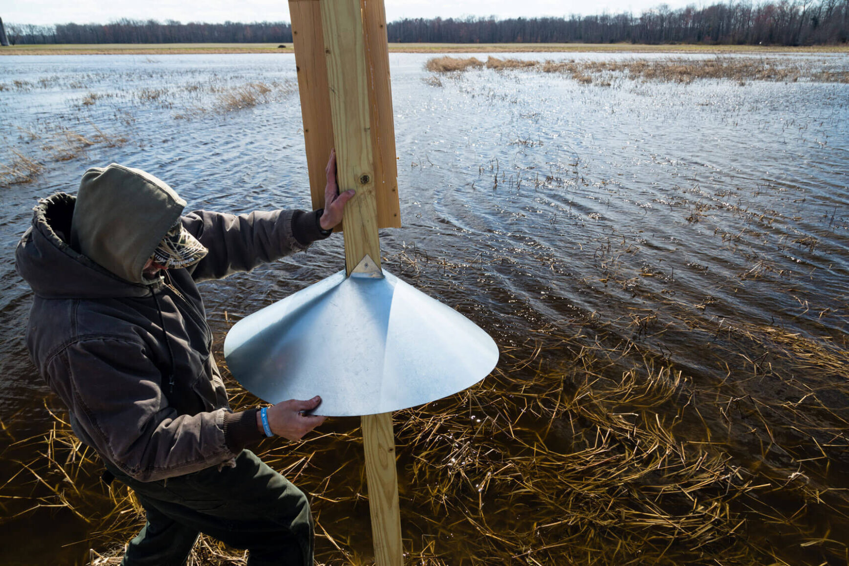 Building Your Wetland - Wetlands Work