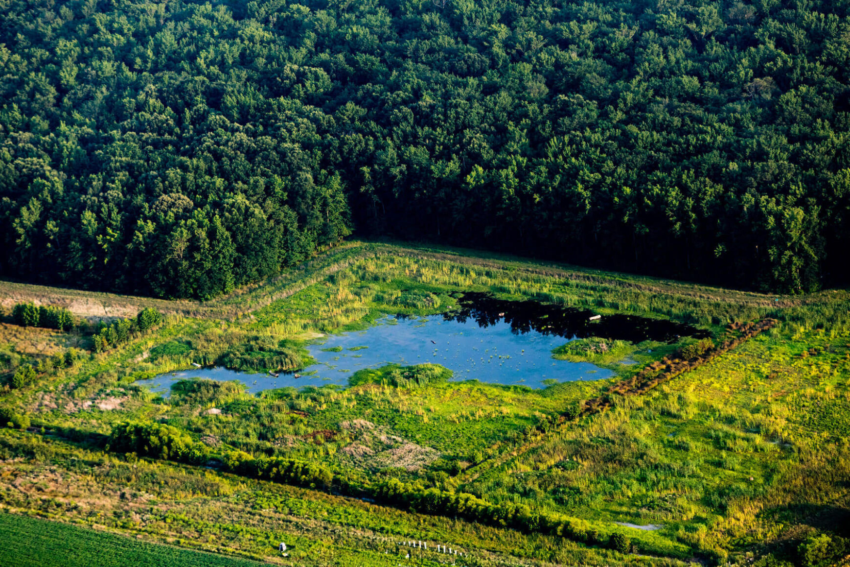 Understanding Wetlands - Wetlands Work