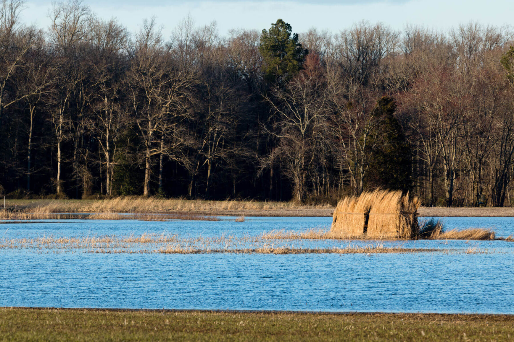 Mark Furr - Wetlands Work