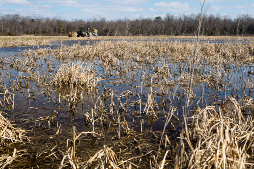 Importance of Restoration - Wetlands Work