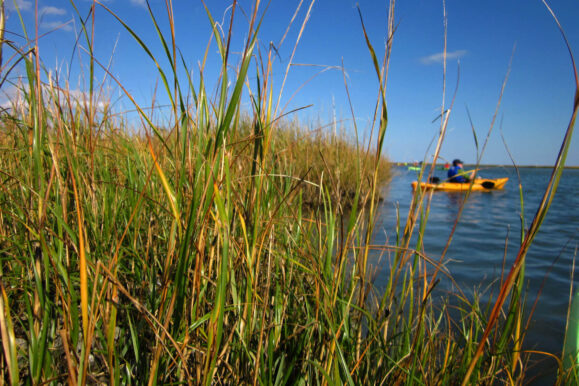 Economy - Wetlands Work